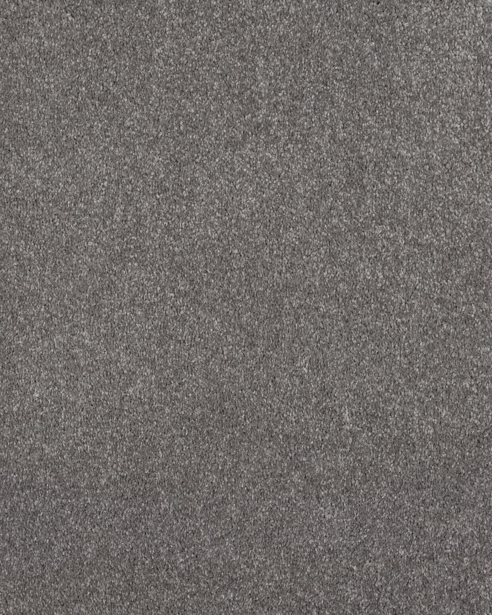 Karastan Dramatic Intrigue Cape Cod | Carpet Exchange