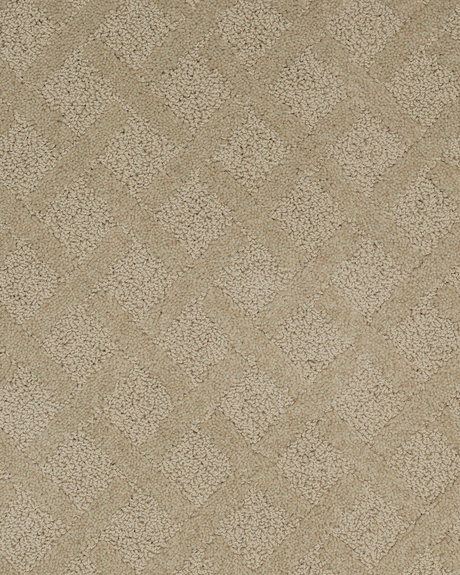 Mohawk SmartStrand Momentous Beauty | Carpet Exchange