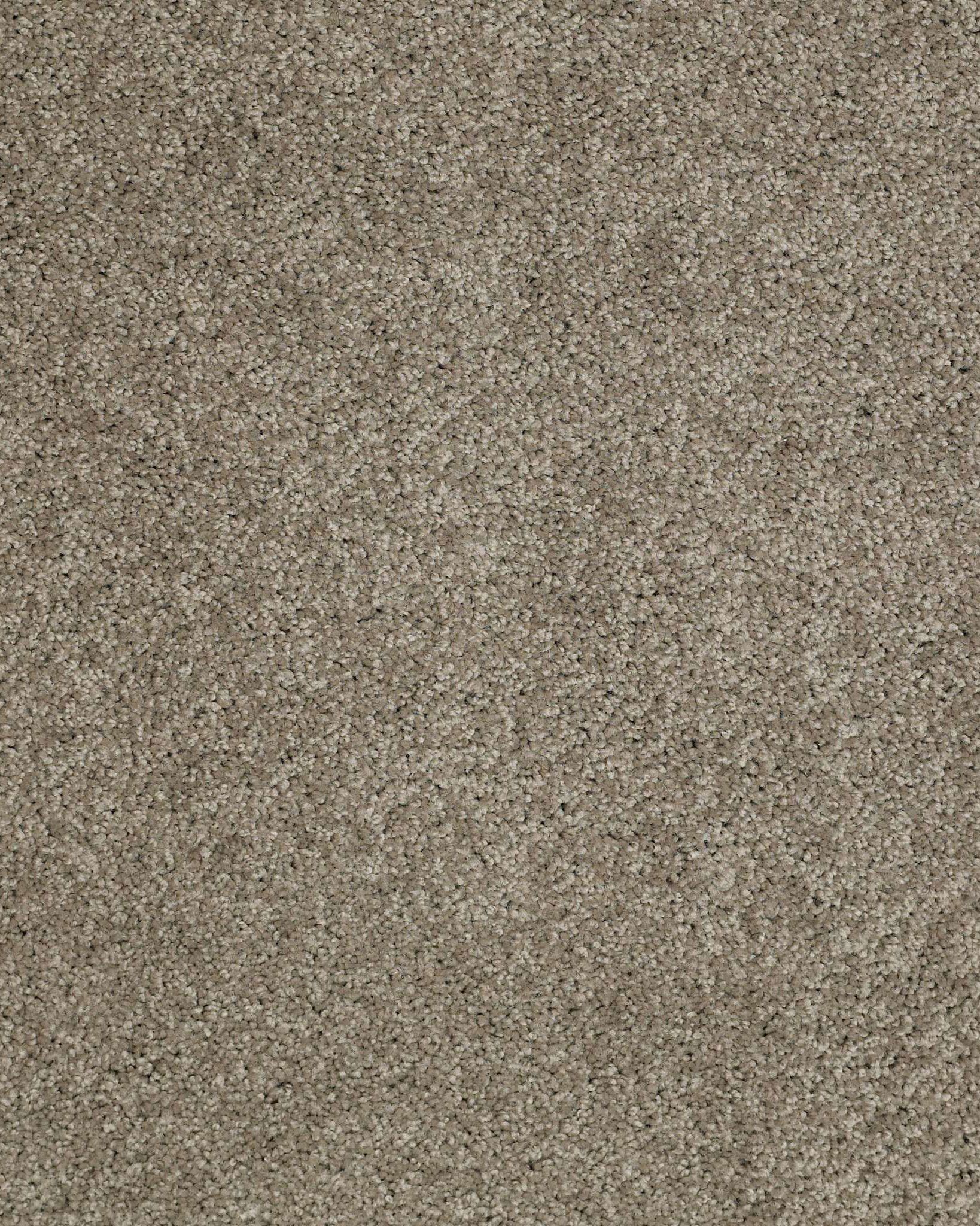 Shaw E9301 Origins II Elephant | Carpet Exchange