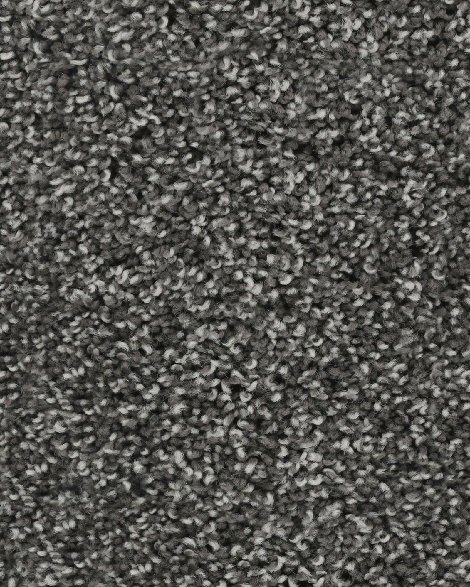 Karastan K8933 Posh Beauty Ebony Star | Carpet Exchange