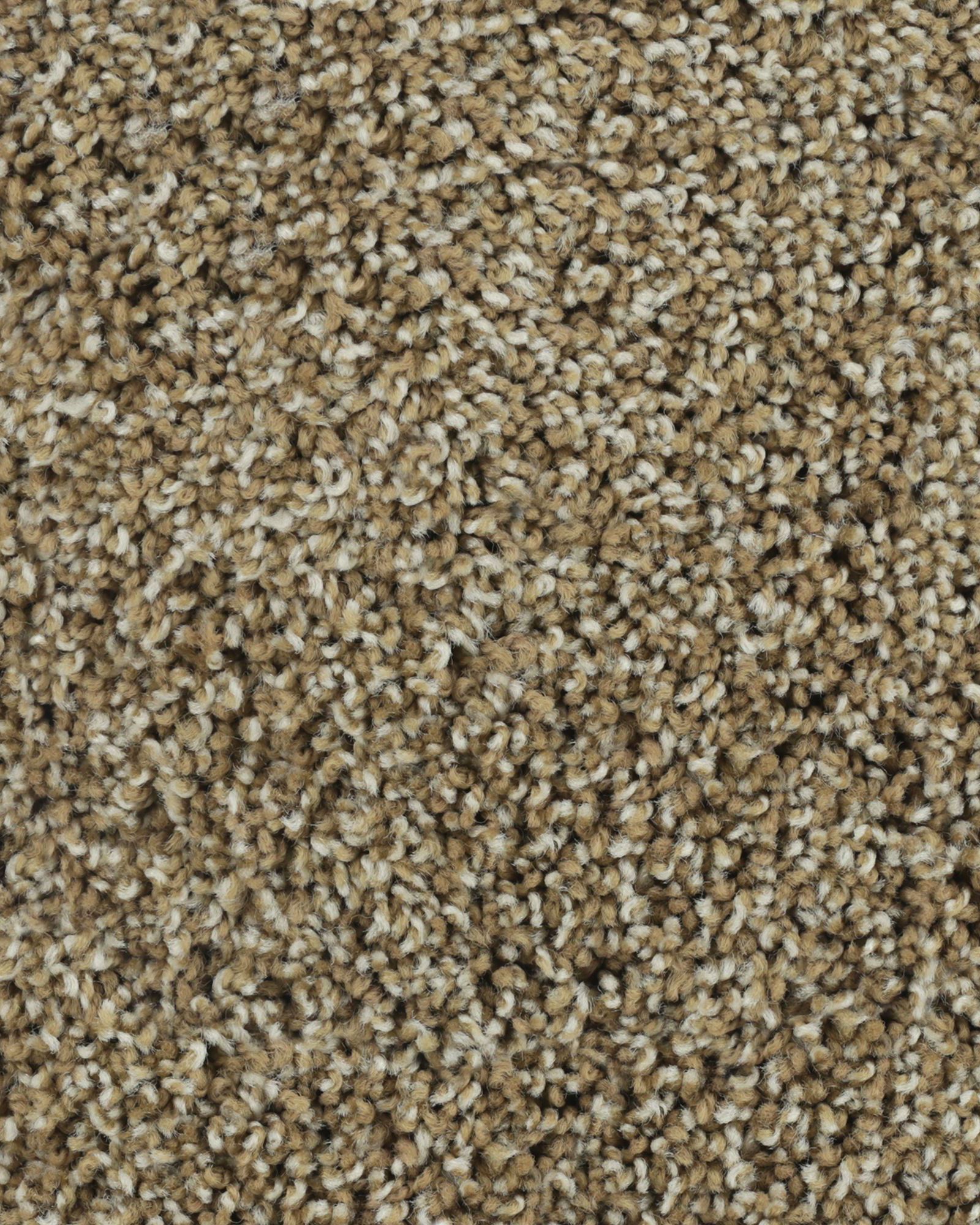 Karastan K8933 Posh Beauty Rattan | Carpet Exchange