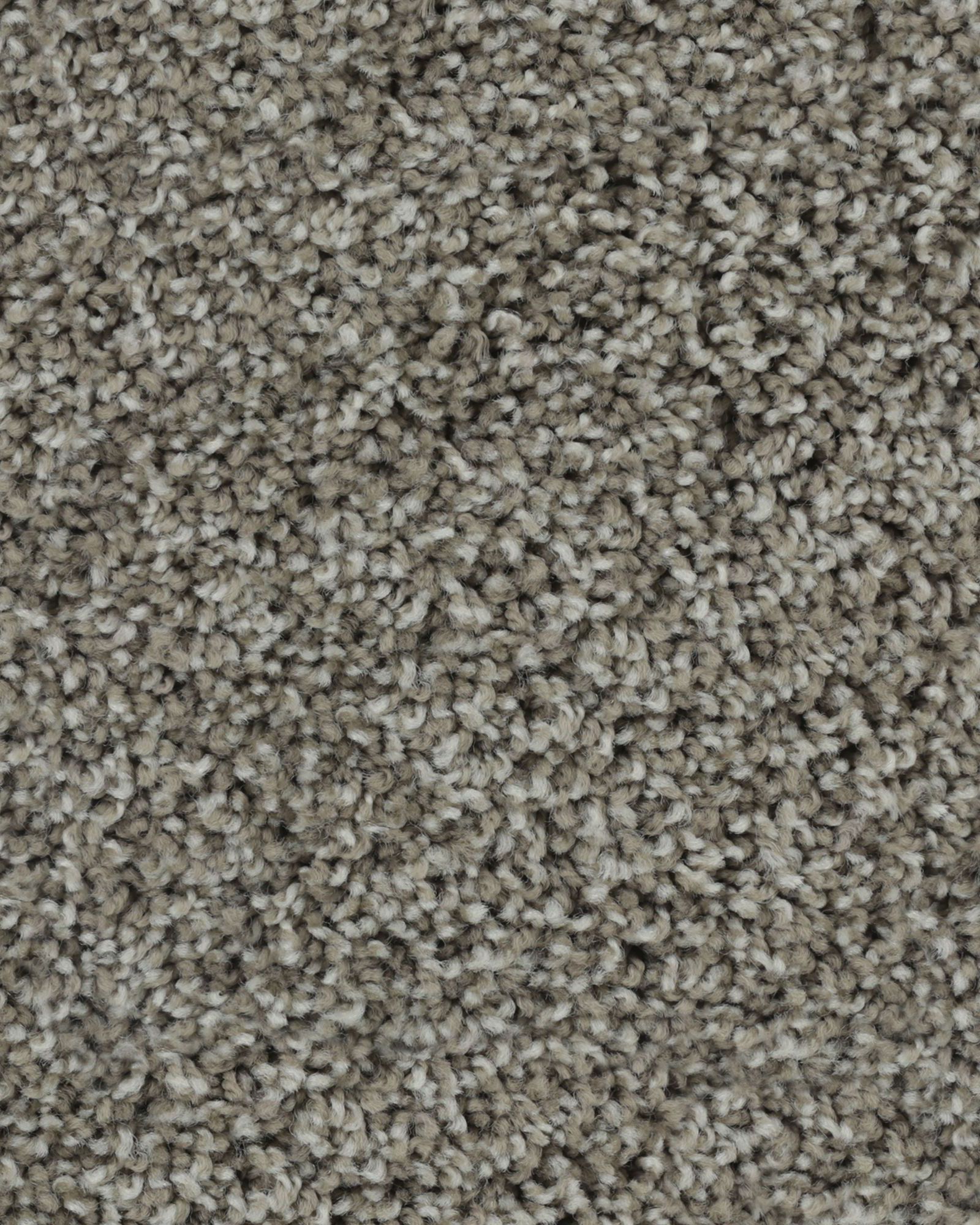 Karastan K8933 Posh Beauty Stone Manor | Carpet Exchange