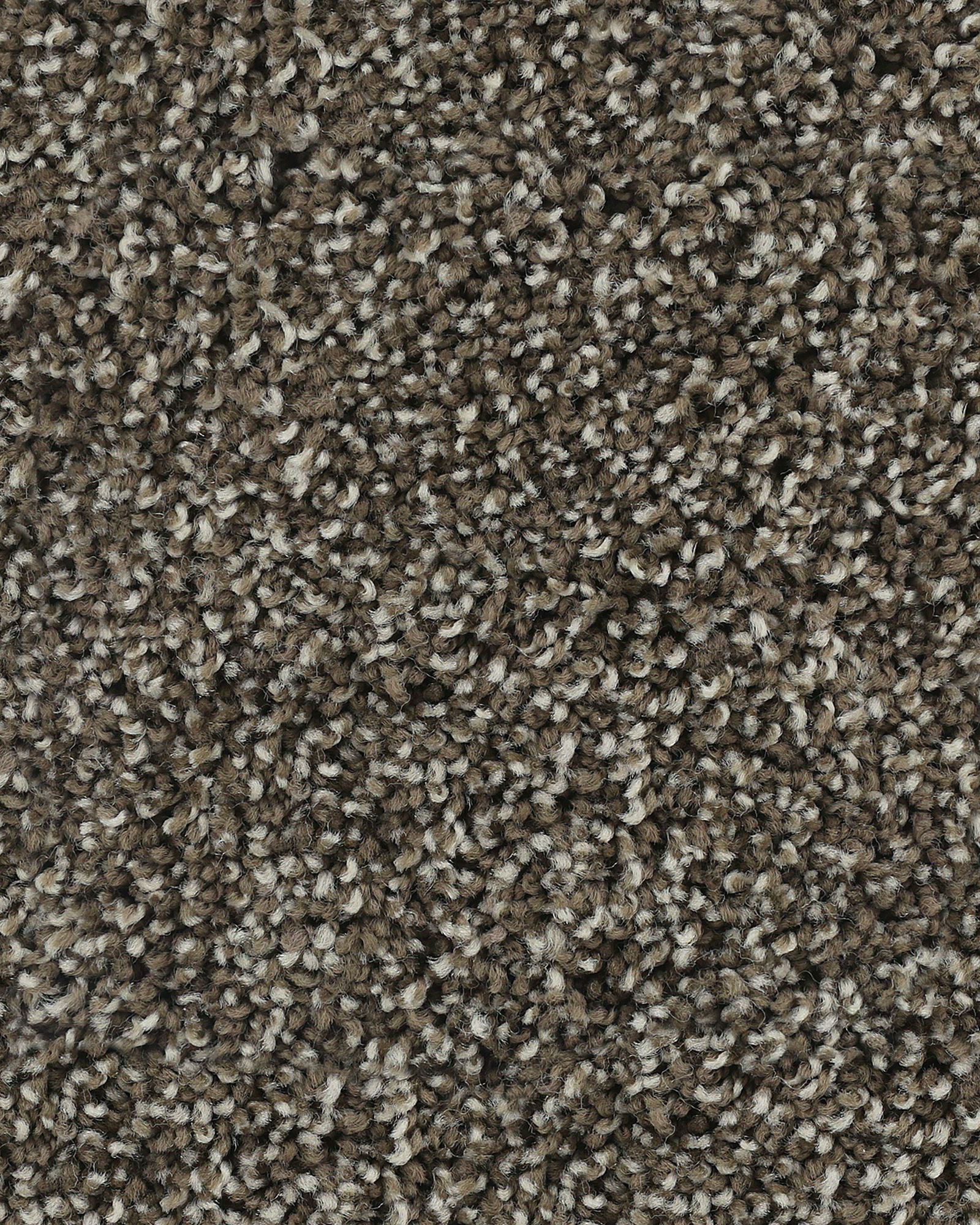 Karastan K8933 Posh Beauty Truffle | Carpet Exchange