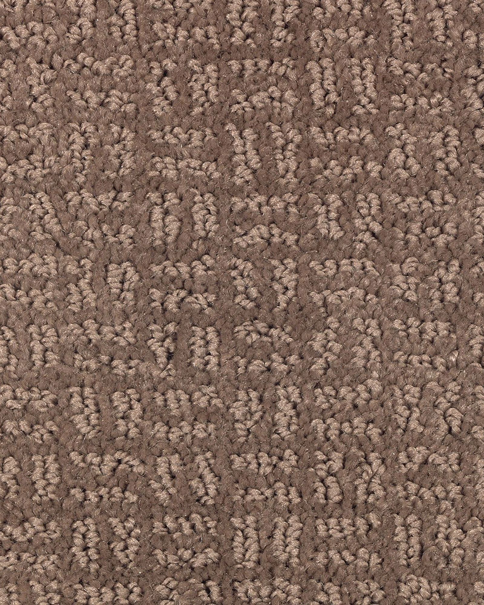 Mohawk 2L67 Pristine View Ancient Oaks | Carpet Exchange