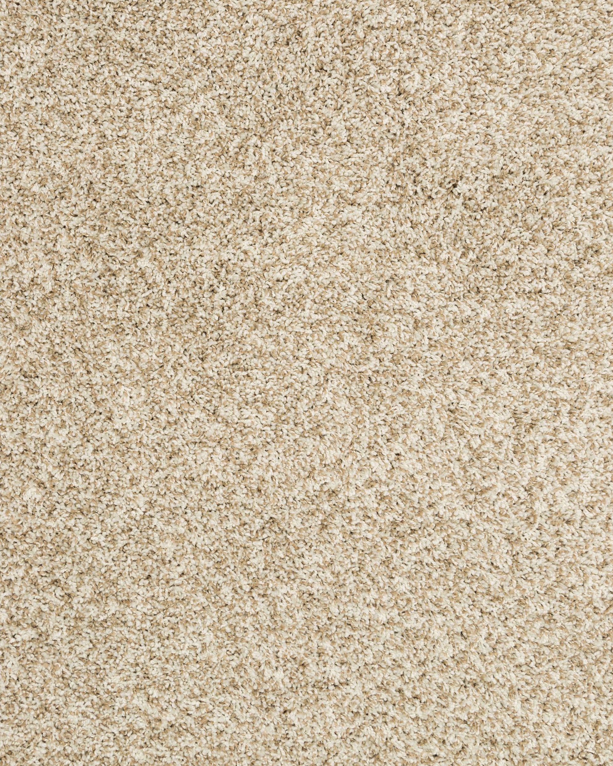 Purrsonality III Coconut