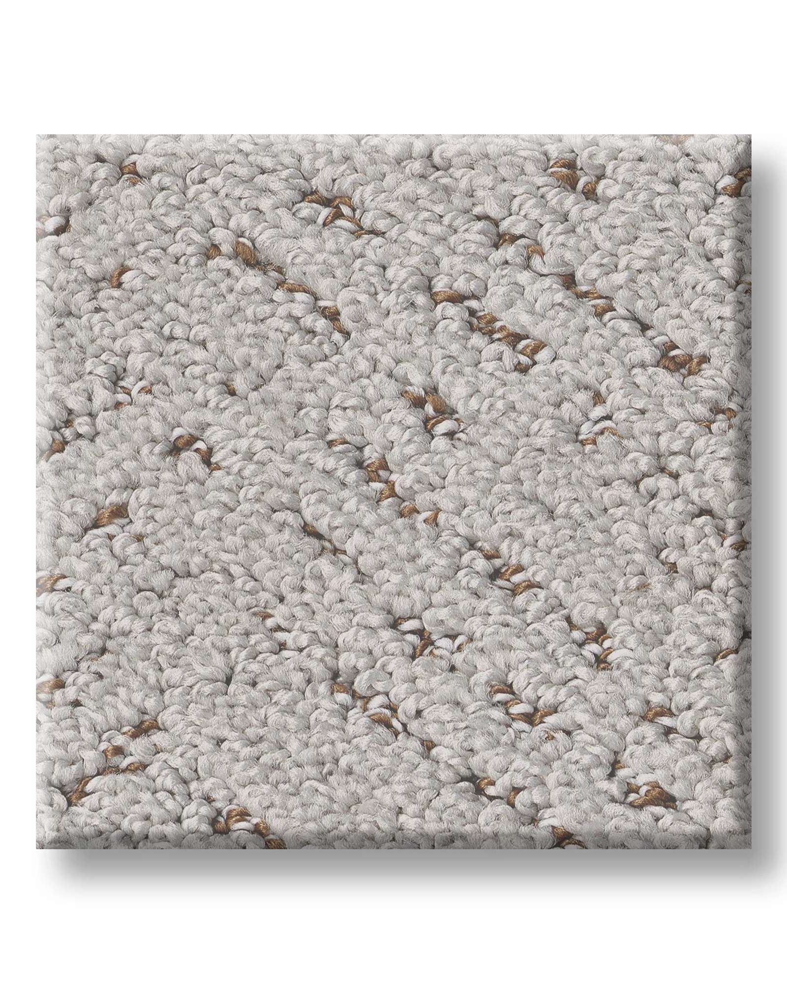 Shaw Pet Perfect Quiet Trail Cashmere | Carpet Exchange