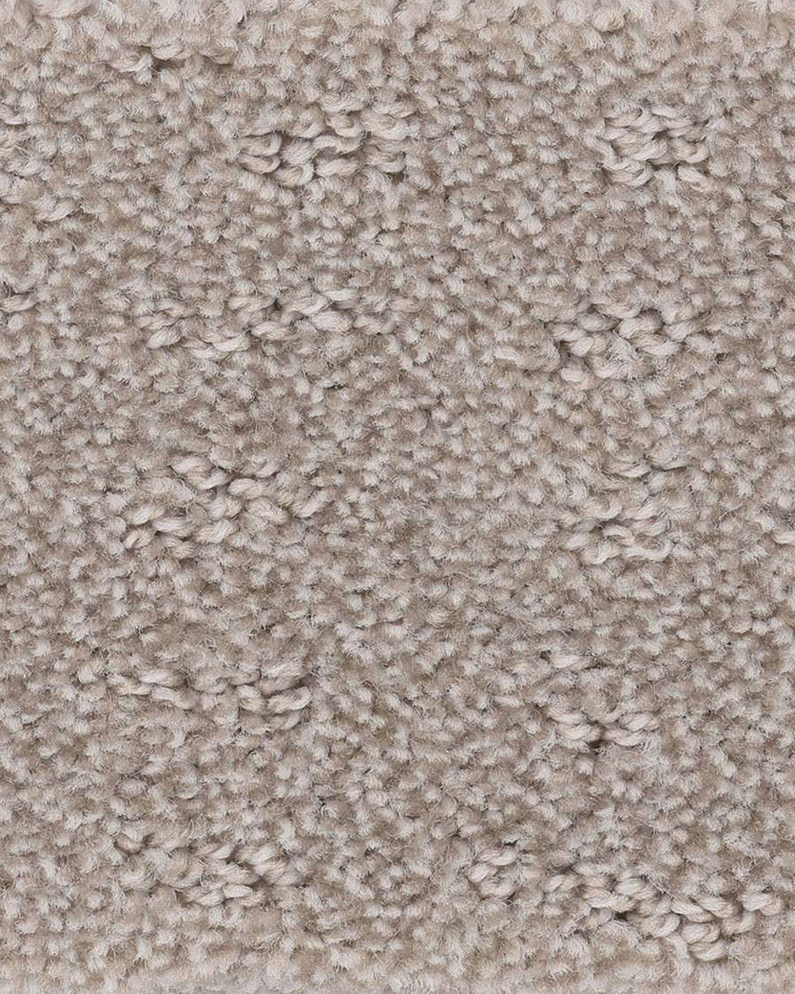 Shaw Trendy Fossil Path | Carpet Exchange