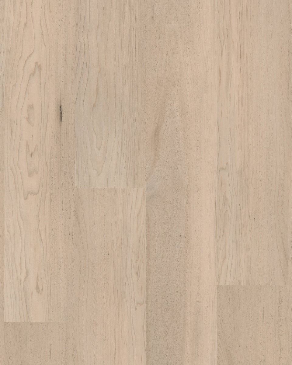 Coretec Pro Premium Norfolk Maple - LVT | Carpet Exchange