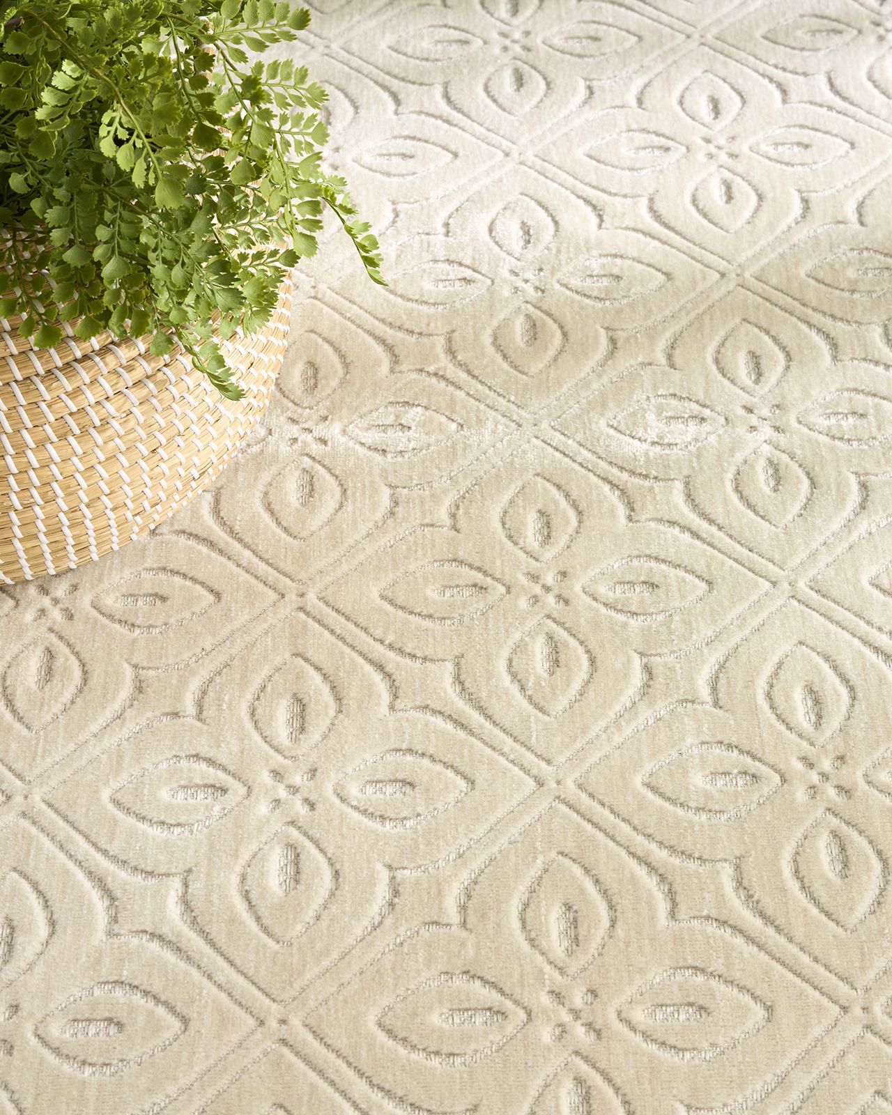 Nourison WCH03 Ivory 2x3 Area Rug | Carpet Exchange