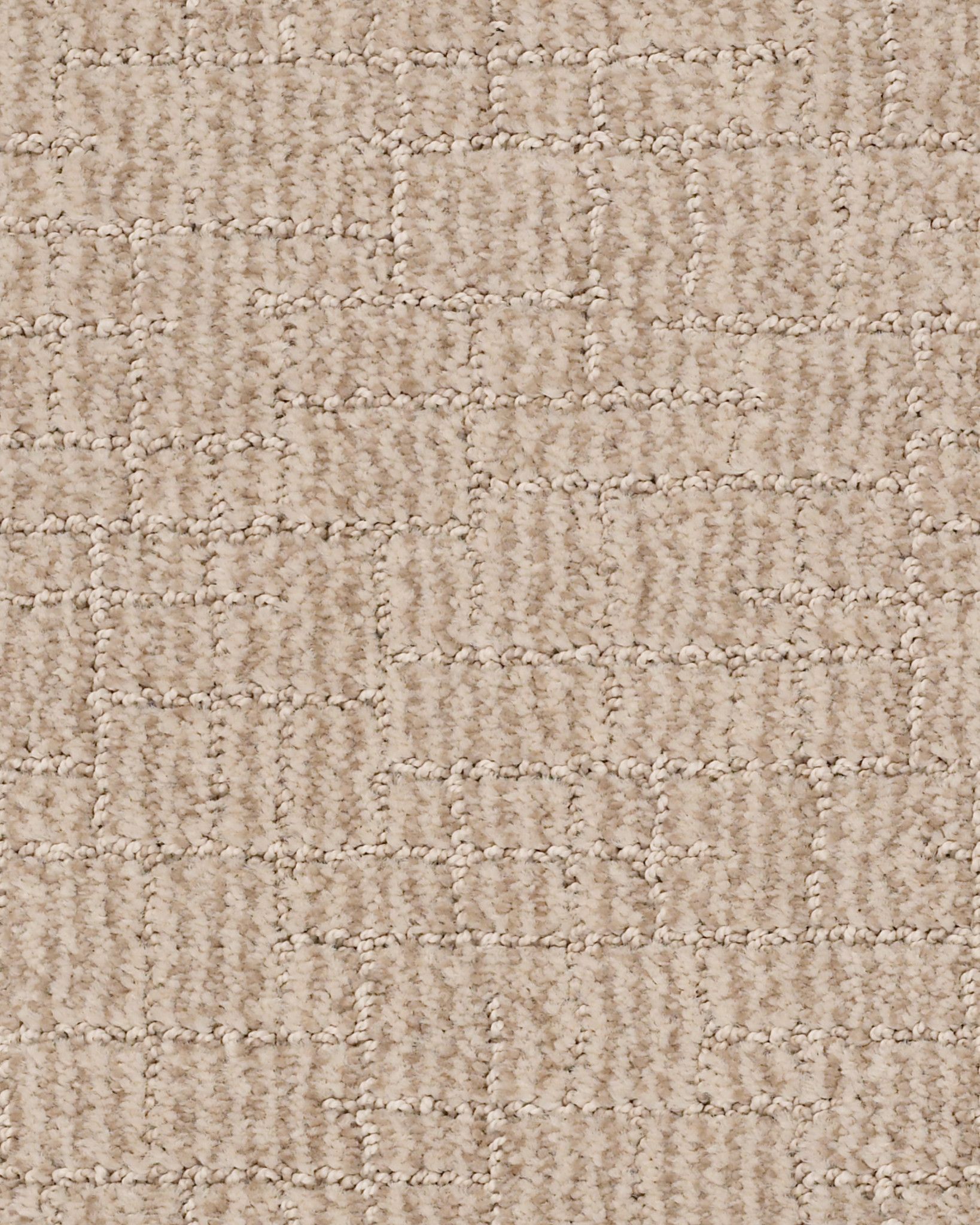 Anderson Tuftex ZZ225 Wayfarer Straw | Carpet Exchange