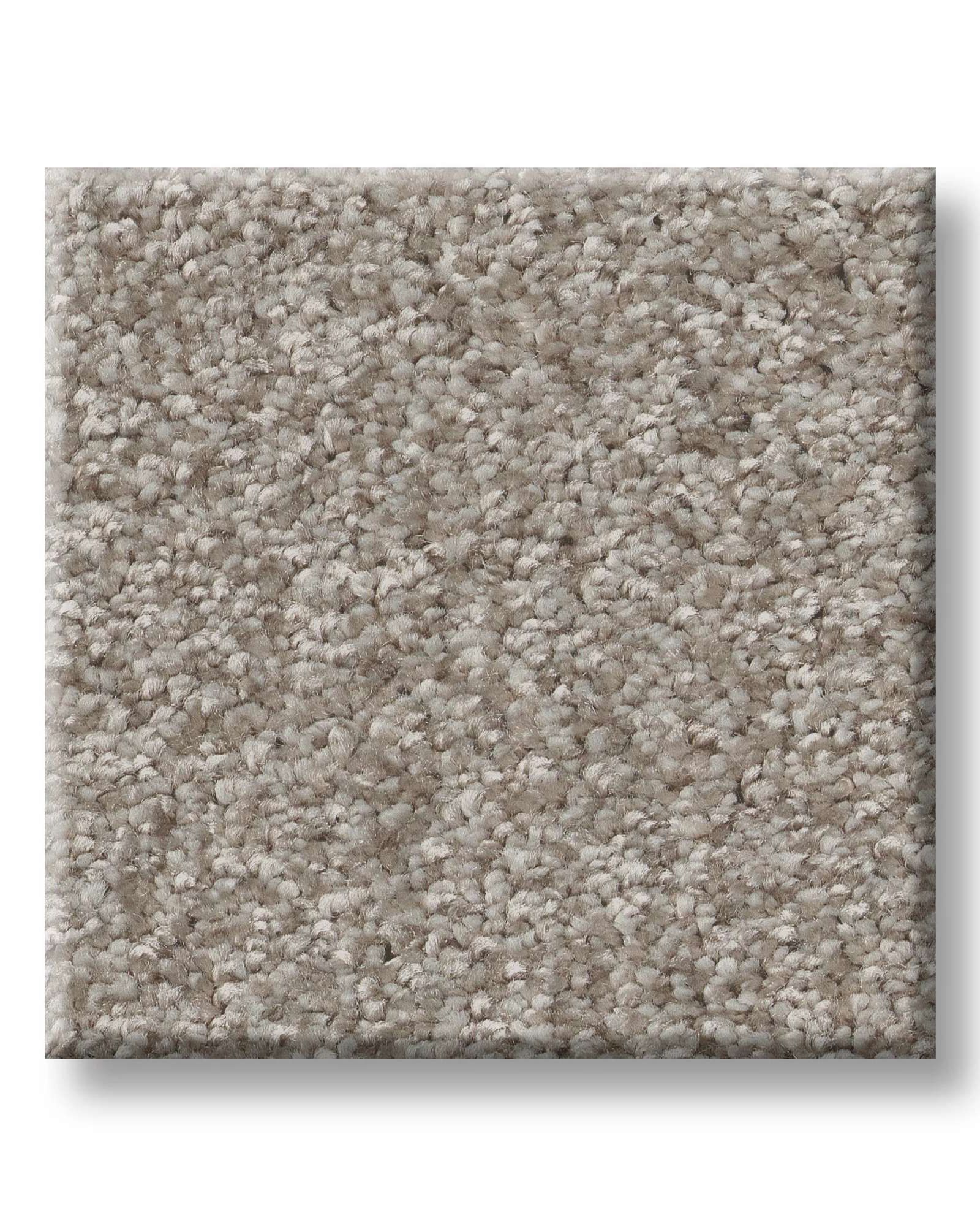 Shaw Positively Radiant III Chic Greige | Carpet Exchange
