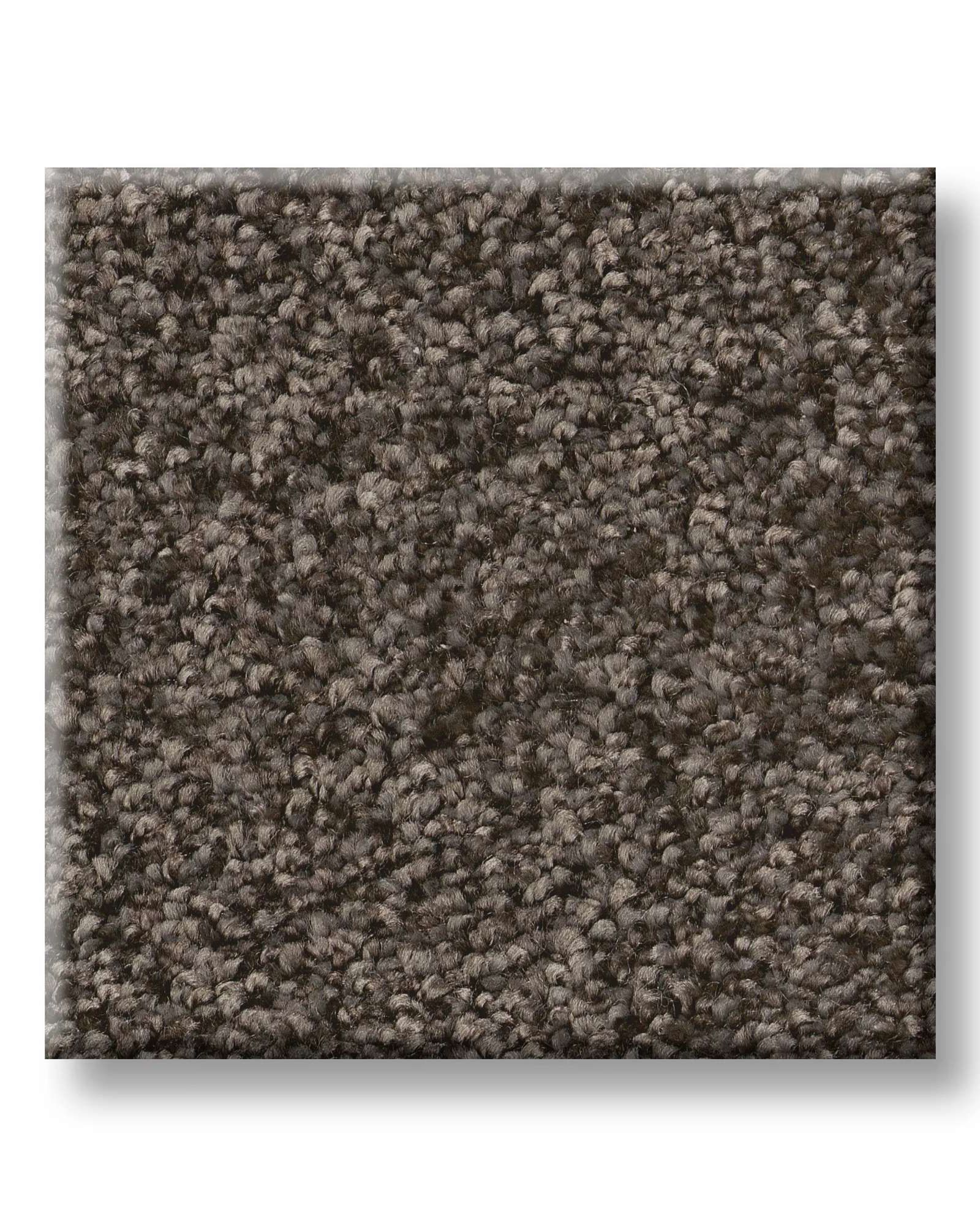 Shaw Positively Radiant III Urban Rustic | Carpet Exchange