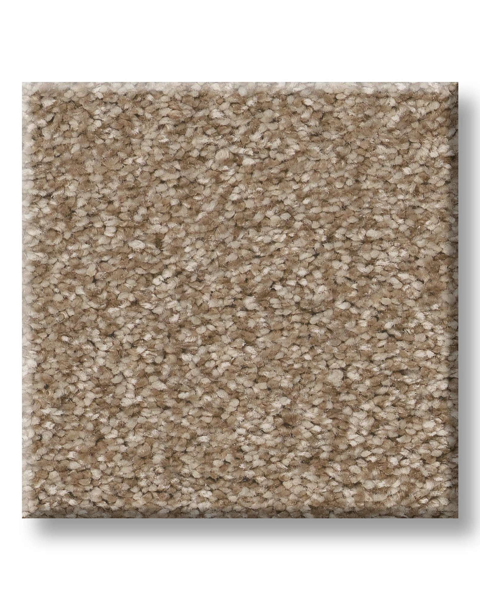 Shaw Positively Radiant II Worn Path | Carpet Exchange