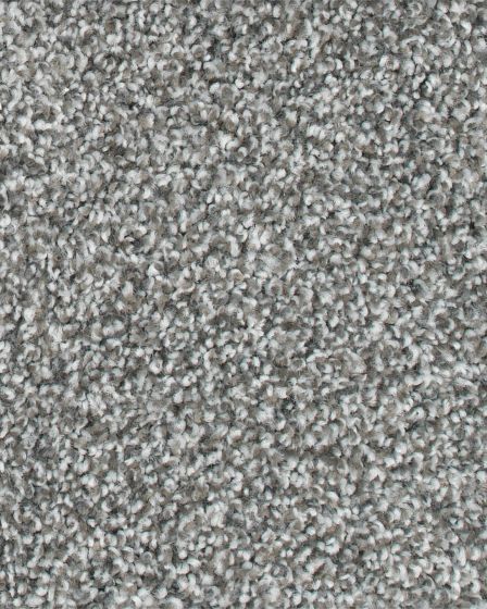 Karastan Captivating Presence Stone Path | Carpet Exchange