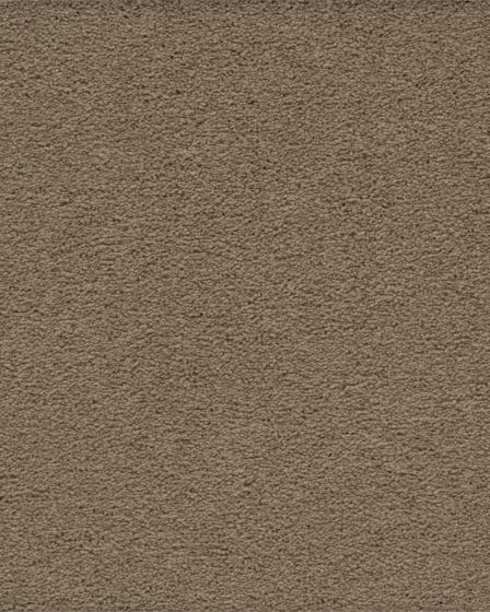 Karastan Classical Approach Inner Balance | Carpet Exchange