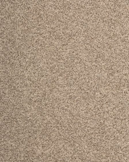 Karastan Cordial Welcome Pale Taupe | Carpet Exchange