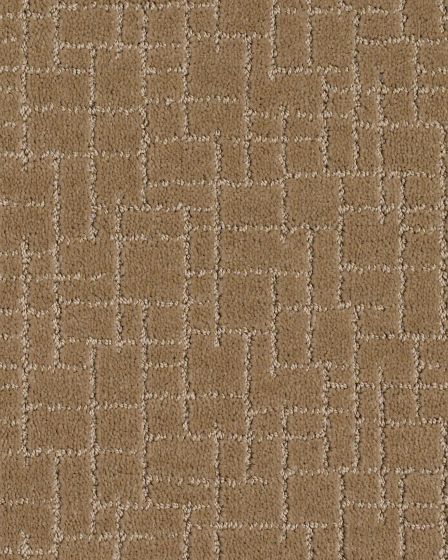 Anderson Tuftex Faux Paw Peanut Shell | Carpet Exchange
