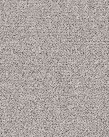 Shaw Pet Perfect Intricate Trace Flannel | Carpet Exchange