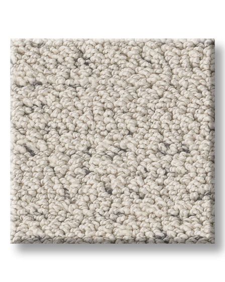 Shaw Pet Perfect Intricate Trace Snowfall | Carpet Exchange