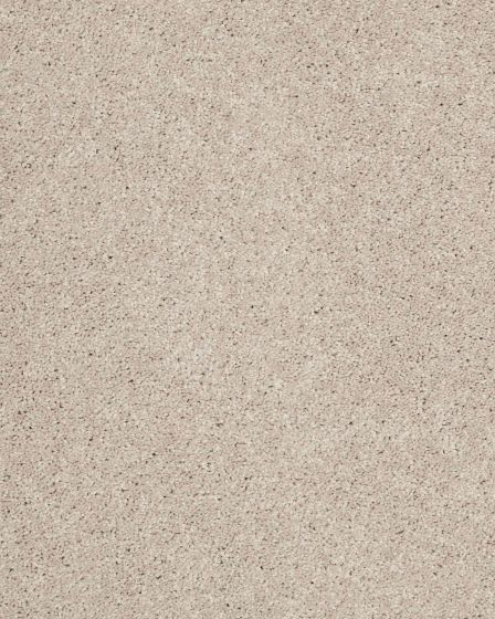 Shaw E9301 Origins II Fossil | Carpet Exchange