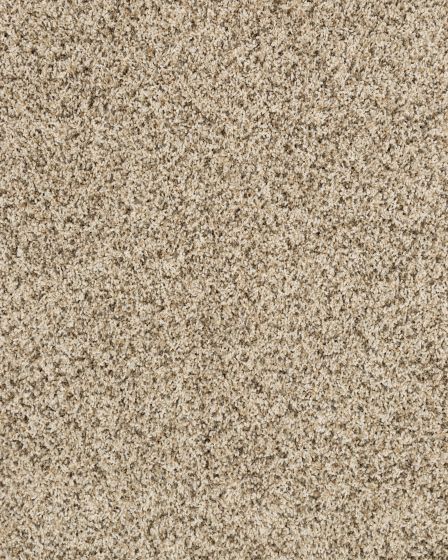 Purrsonality III Frosty Spice