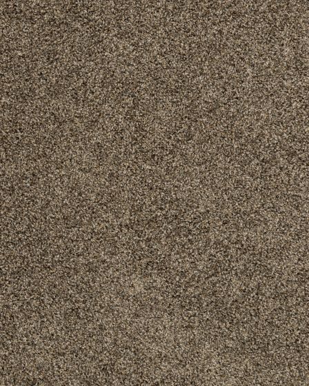 Purrsonality III Nightshade