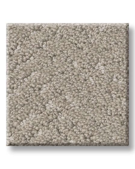 Shaw Pet Perfect Quiet Trail Sculpture | Carpet Exchange