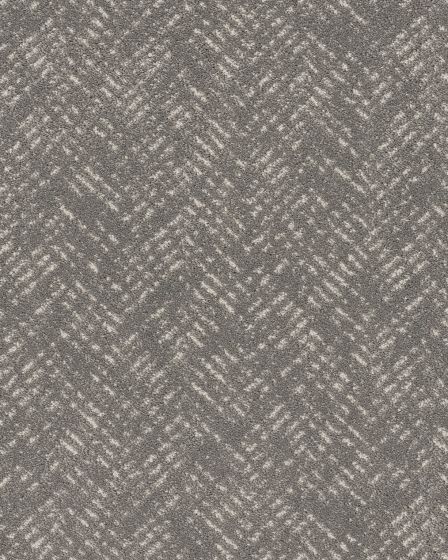 Shaw Pet Perfect Quiet Trail Vintage | Carpet Exchange