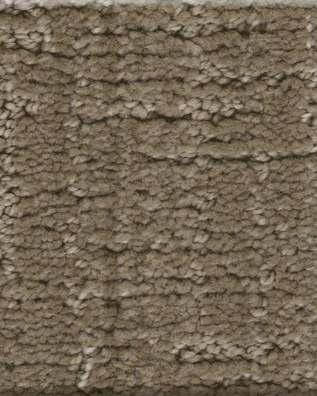 Shaw Shady Stroll Acorn | Carpet Exchange