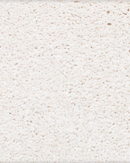 Karastan K8920 Sheer Essence Colonial Ash | Carpet Exchange