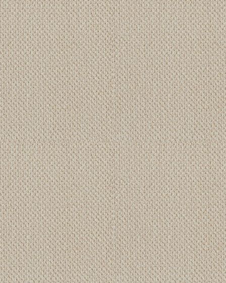 Shaw E9725 Smart Thinking Alabaster | Carpet Exchange Shaw E9725 Smart Thinking Alabaster | Carpet Exchange