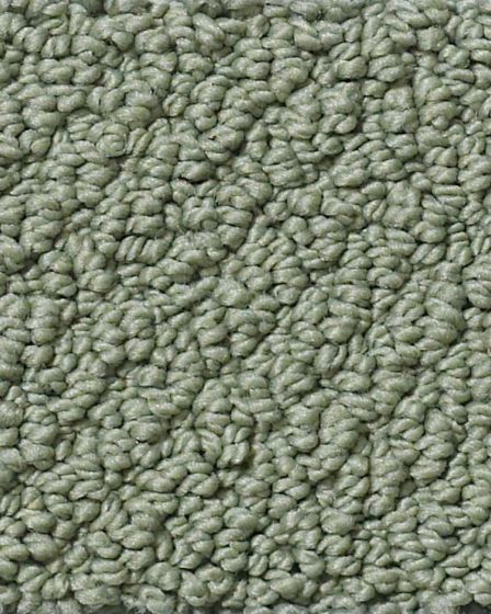 Shaw E9725 Smart Thinking Lush Garden | Carpet Exchange