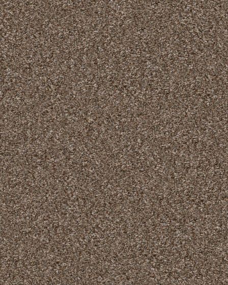 Shaw Confidence III Worn Path | Carpet Exchange