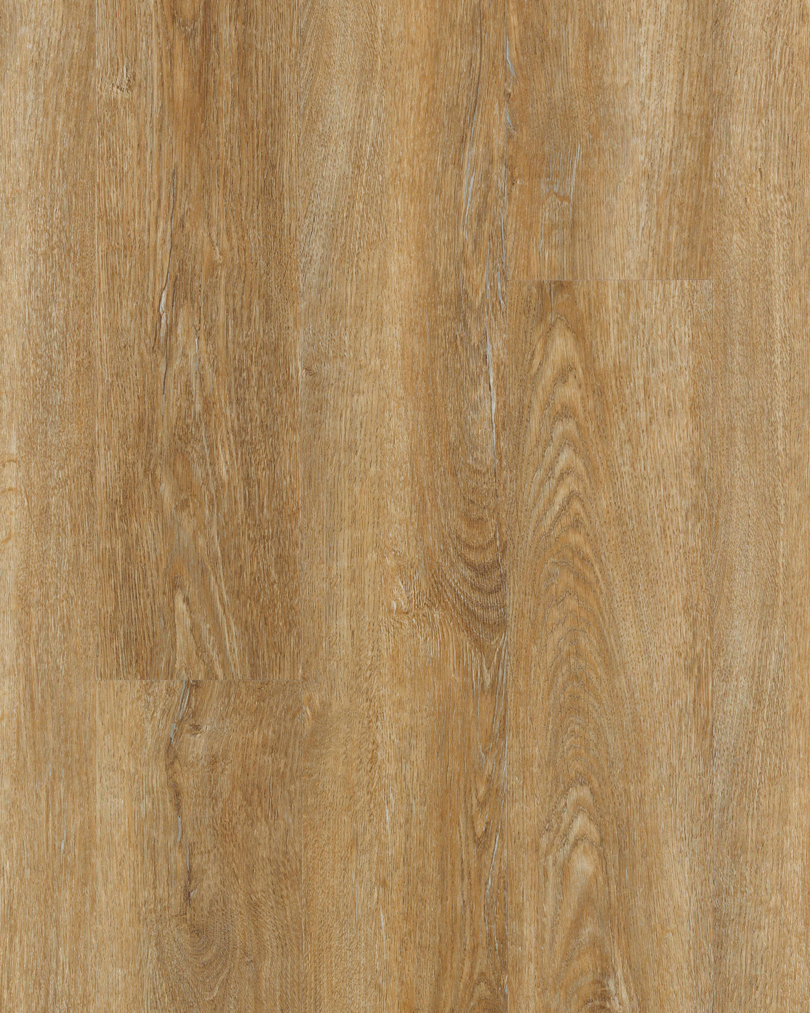 Mohawk Discovery Ridge Richmond Gold - LVT