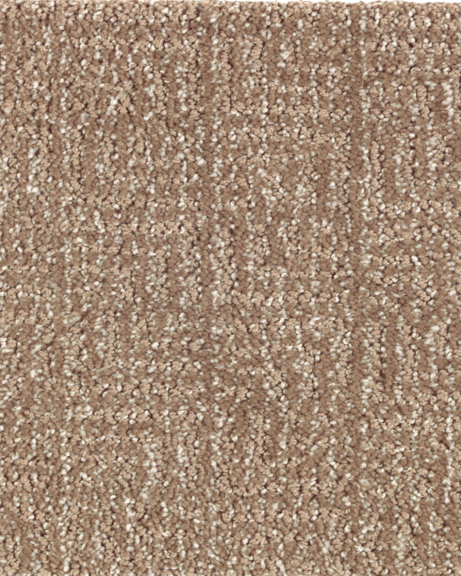 Mohawk 2P43 Distinctive Nature Rich Earth | Carpet Exchange
