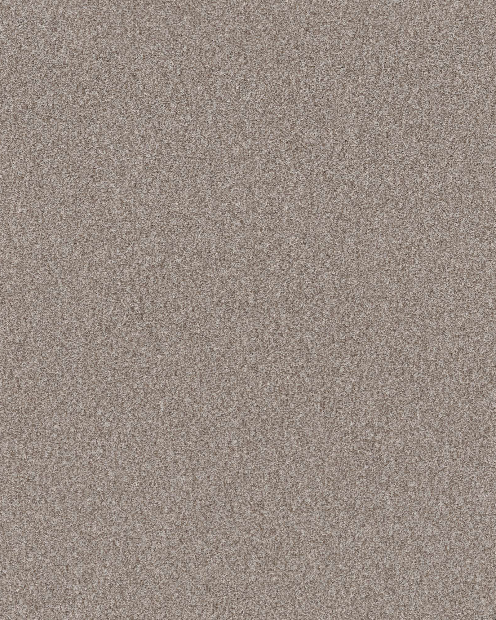 Shaw 5E443 Expertise Baltic Stone | Carpet Exchange