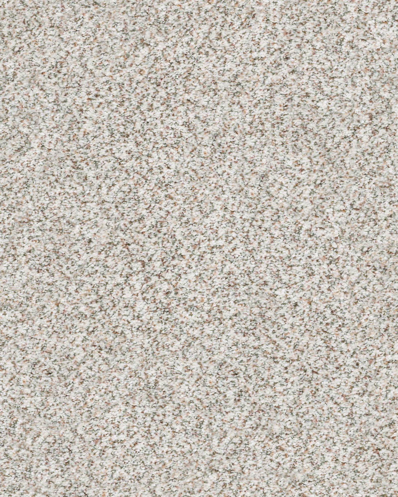 Shaw Find Your Comfort Accent II New Perspective | CE