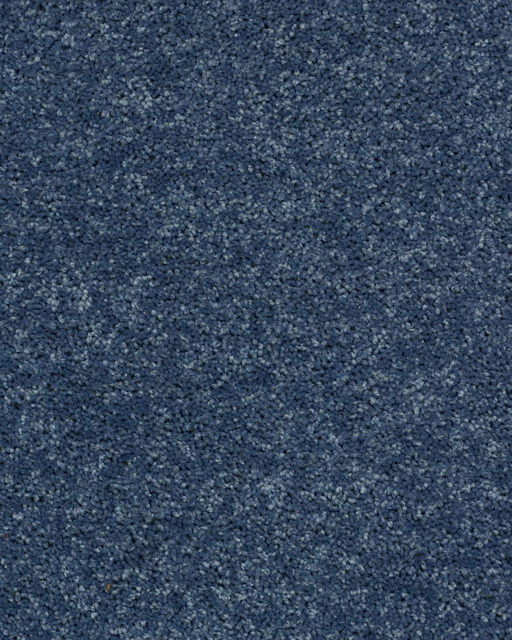 Shaw Full Court Castaway | Carpet Exchange