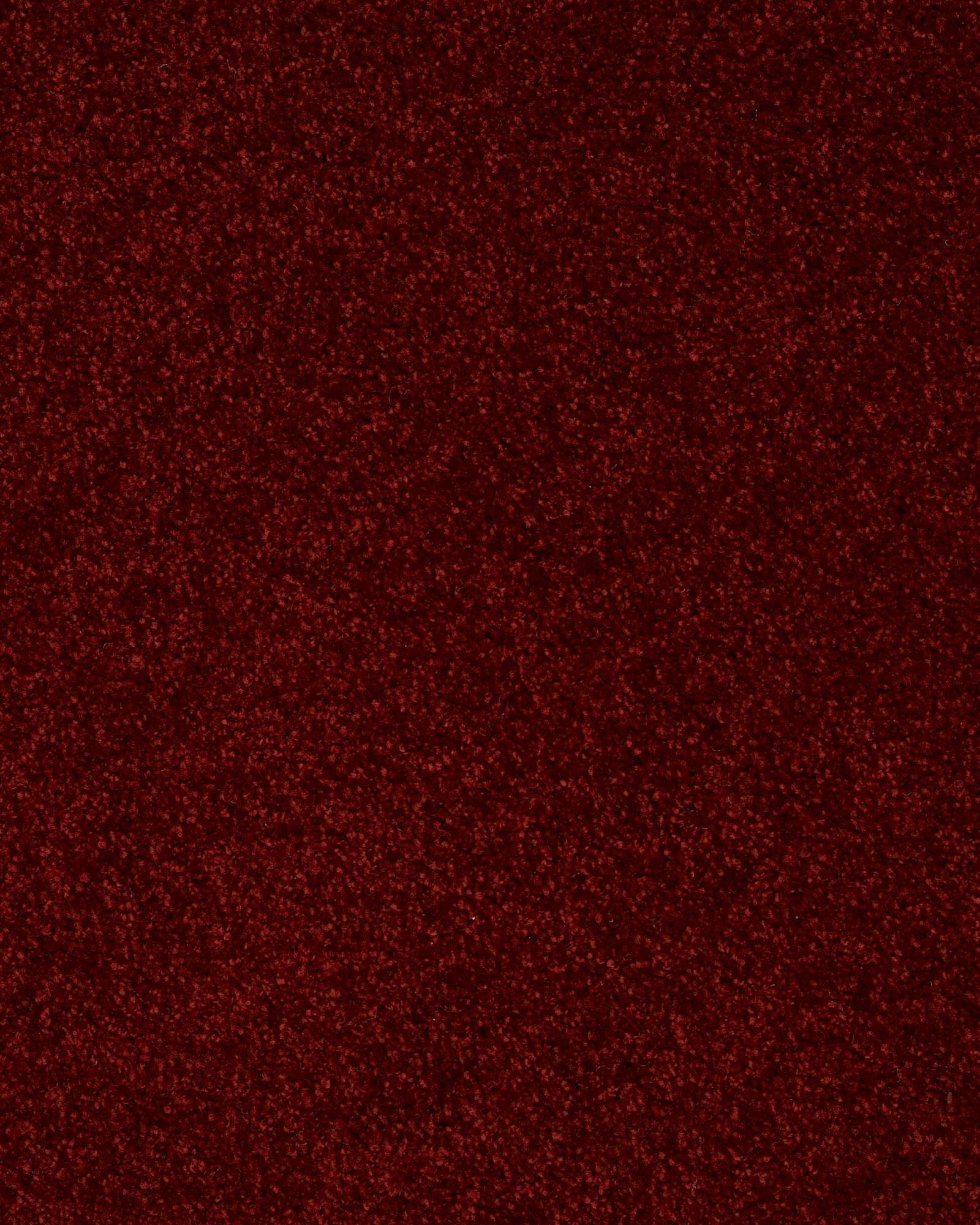 Shaw Full Court Red Wine | Carpet Exchange