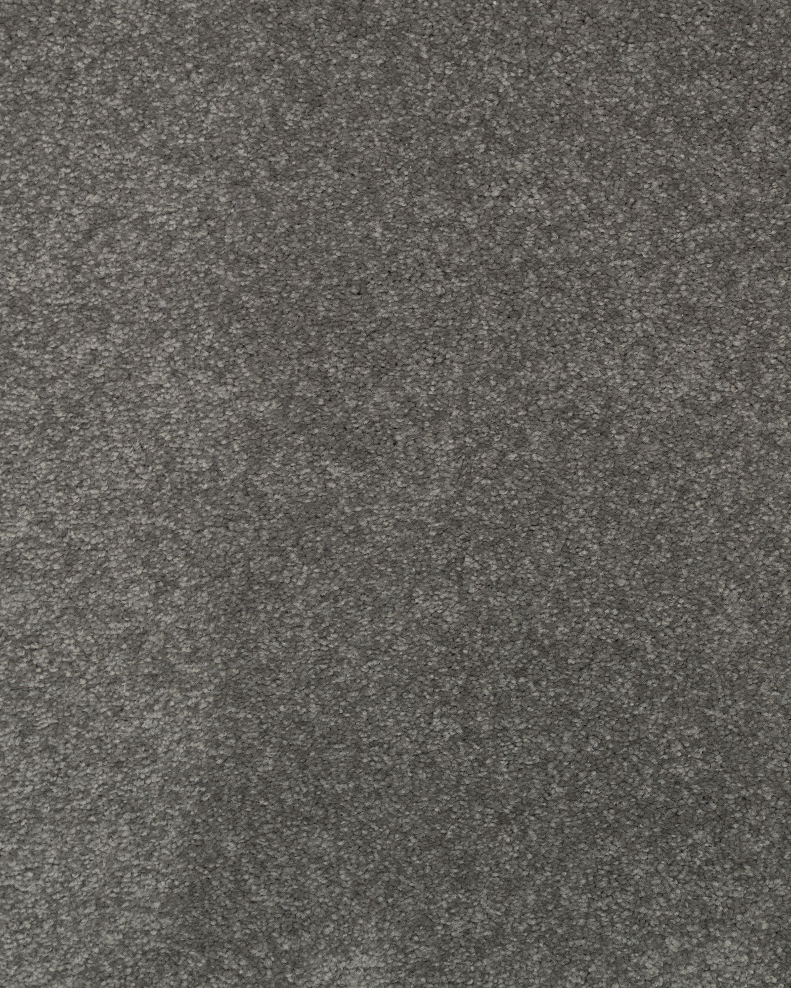 Godfrey Hirst Stylish Grace Polaris | Carpet Exchange