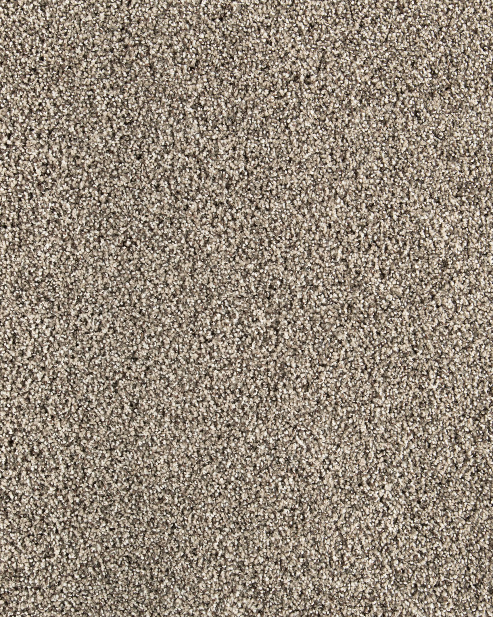 Detailed Statement Textured SmartStrand | Carpet Exchange