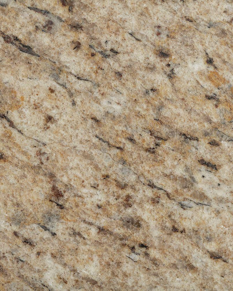 Granite Giallo Ornamental - Countertops | Carpet Exchange