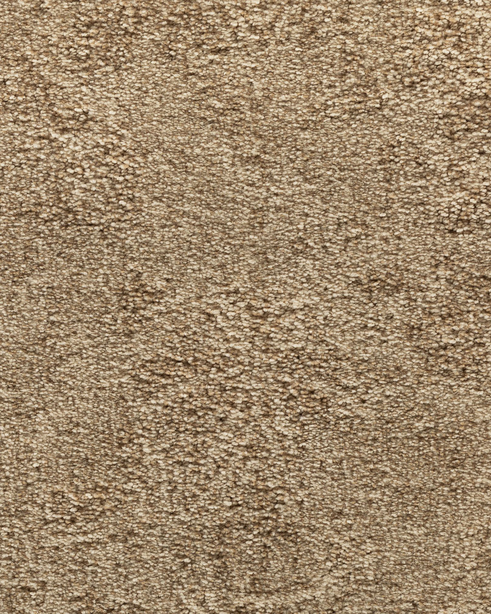 Karastan Graceful Balance Catalina Shore - Carpet Exchange