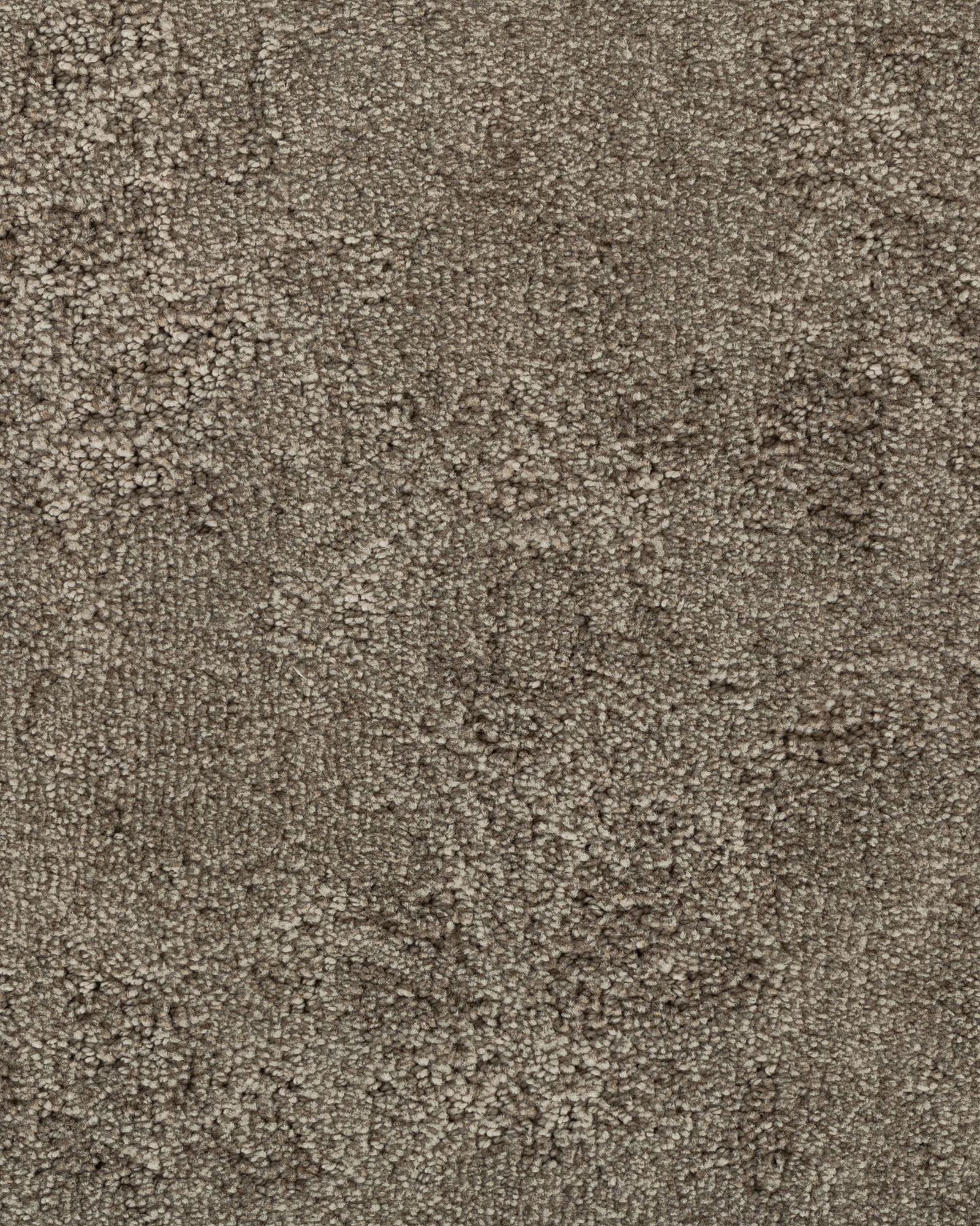 Karastan Graceful Balance Mink - Carpet Exchange