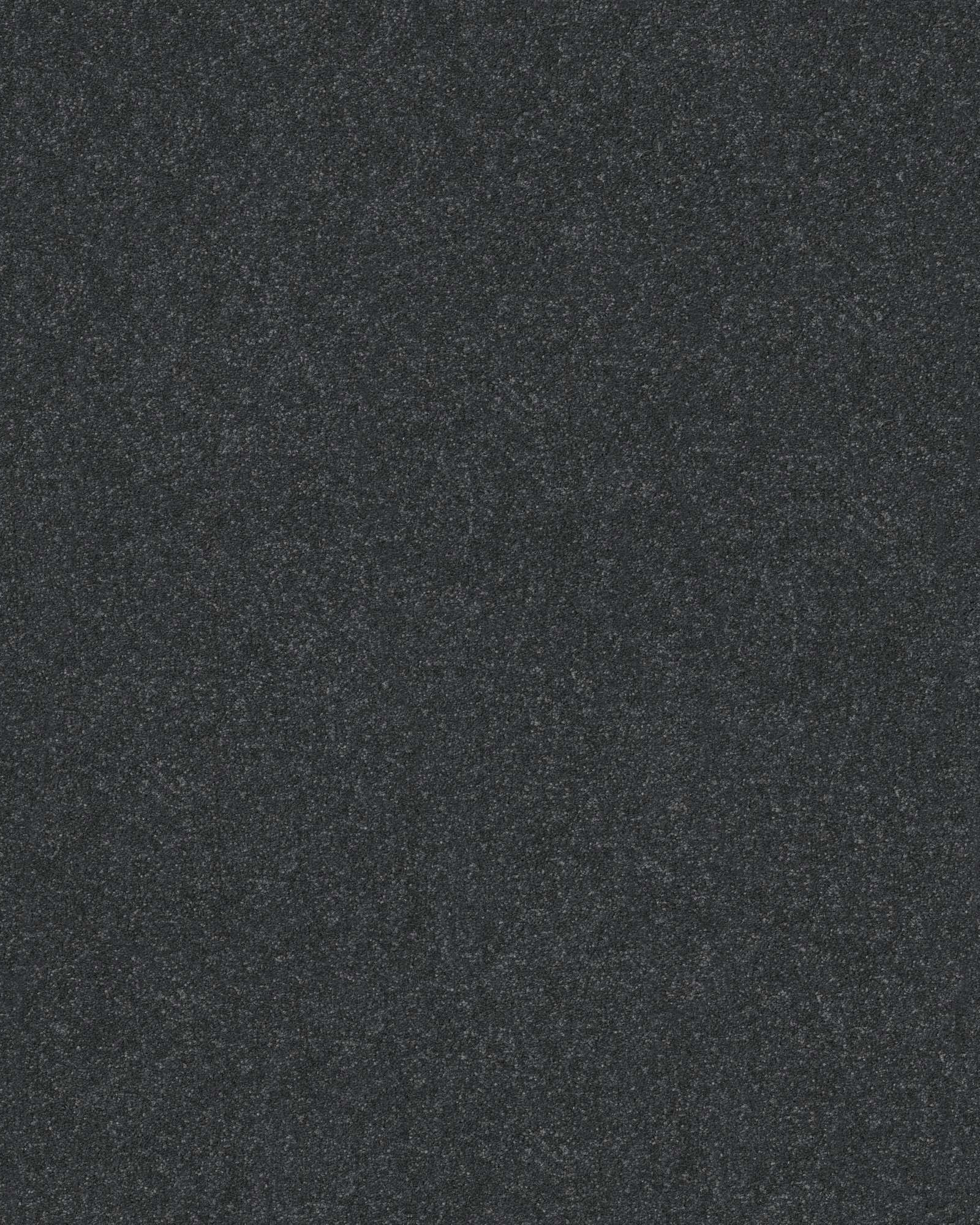 Shaw Pet Perfect Hard At Play II Shadow | Carpet Exchange