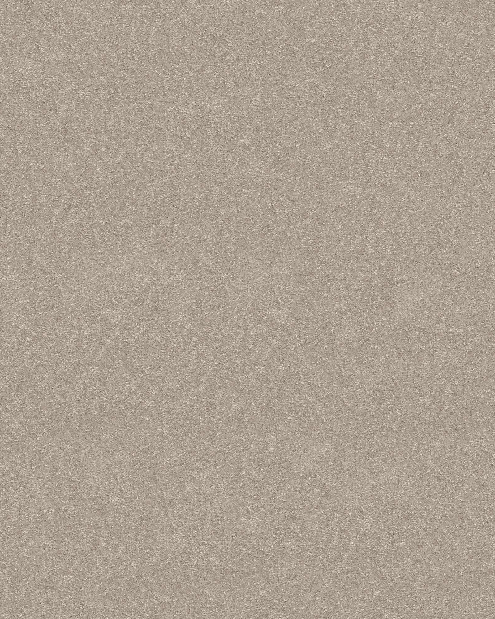 Shaw Hard At Play III Soft Sense | Carpet Exchange