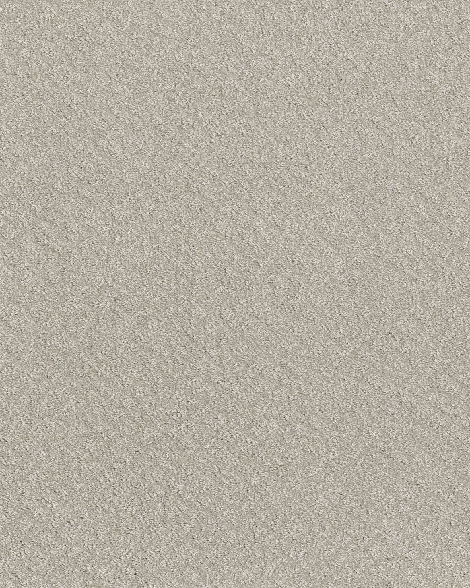 Shaw In Style Winters Dawn | Carpet Exchange