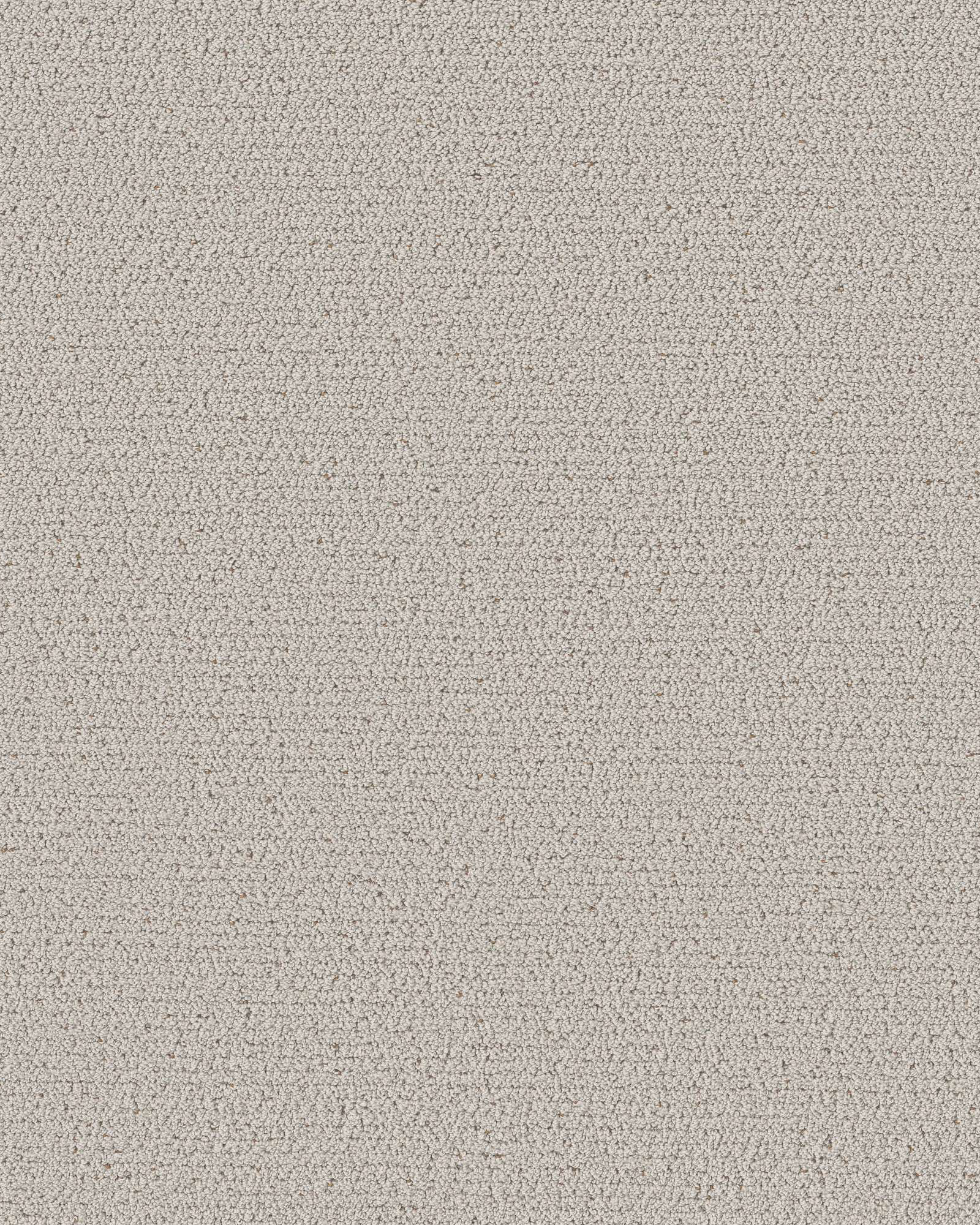 Shaw Pet Perfect Intricate Trace Cashmere | Carpet Exchange