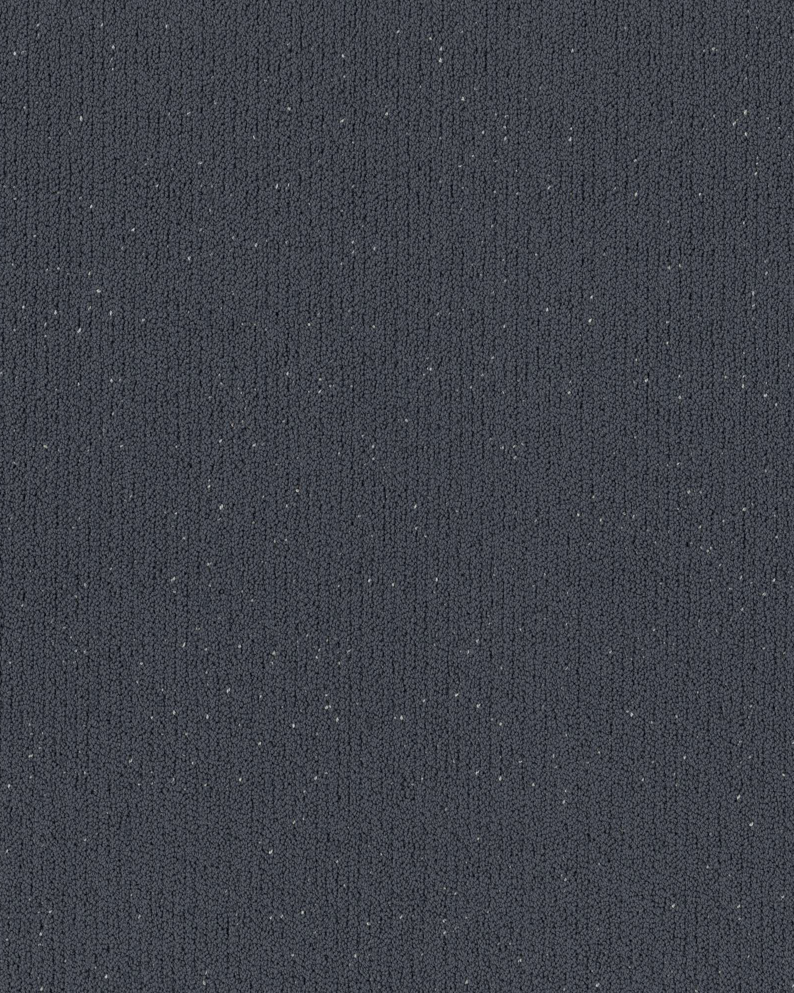 Shaw Pet Perfect Intricate Trace Refined | Carpet Exchange