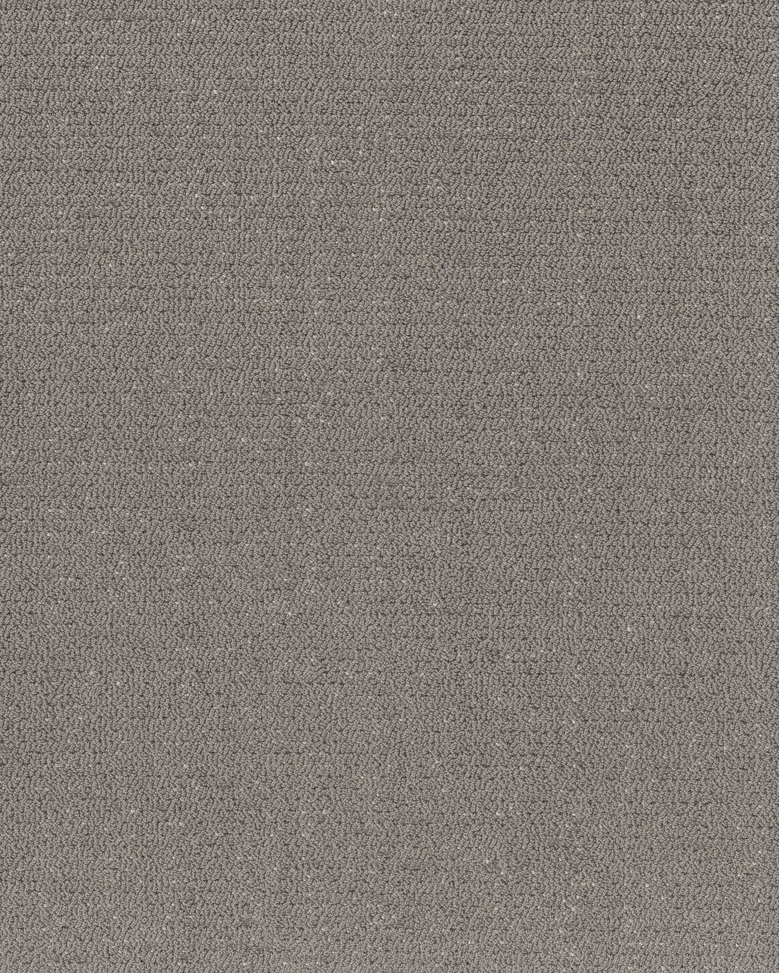 Shaw Pet Perfect Intricate Trace Vintage | Carpet Exchange